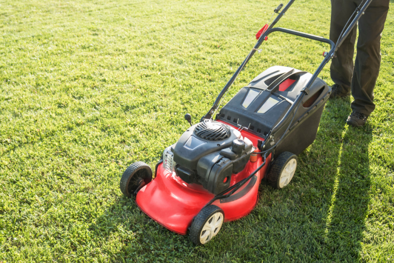 Fall Lawn Care Tips
