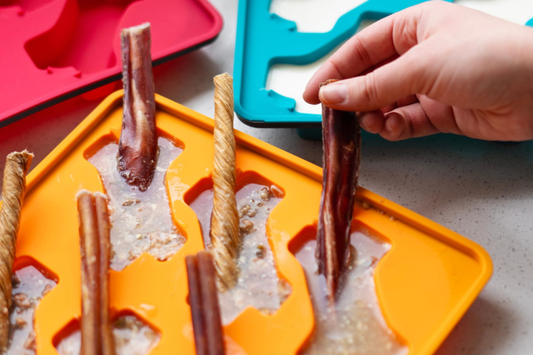 Dog-Friendly Pupsicle